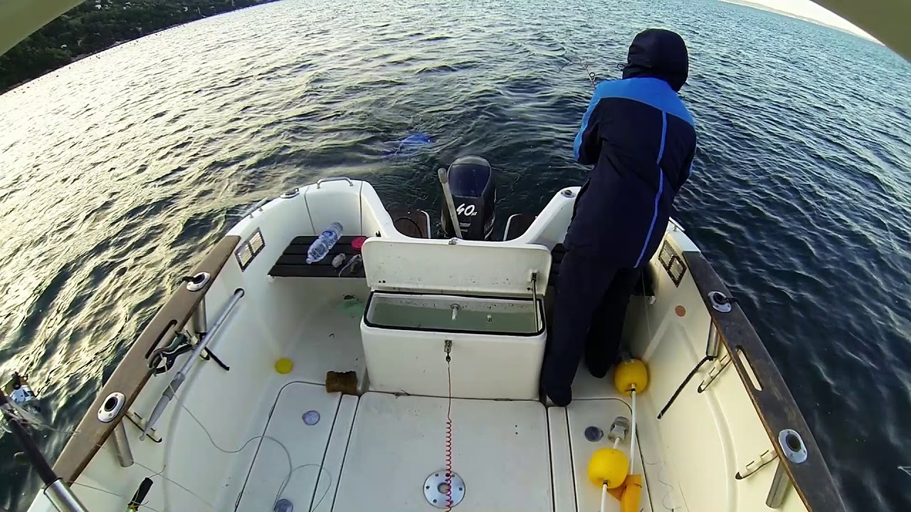 Pesca a traina con la seppia viva,con cattura di un Spinarolo 2020 ...