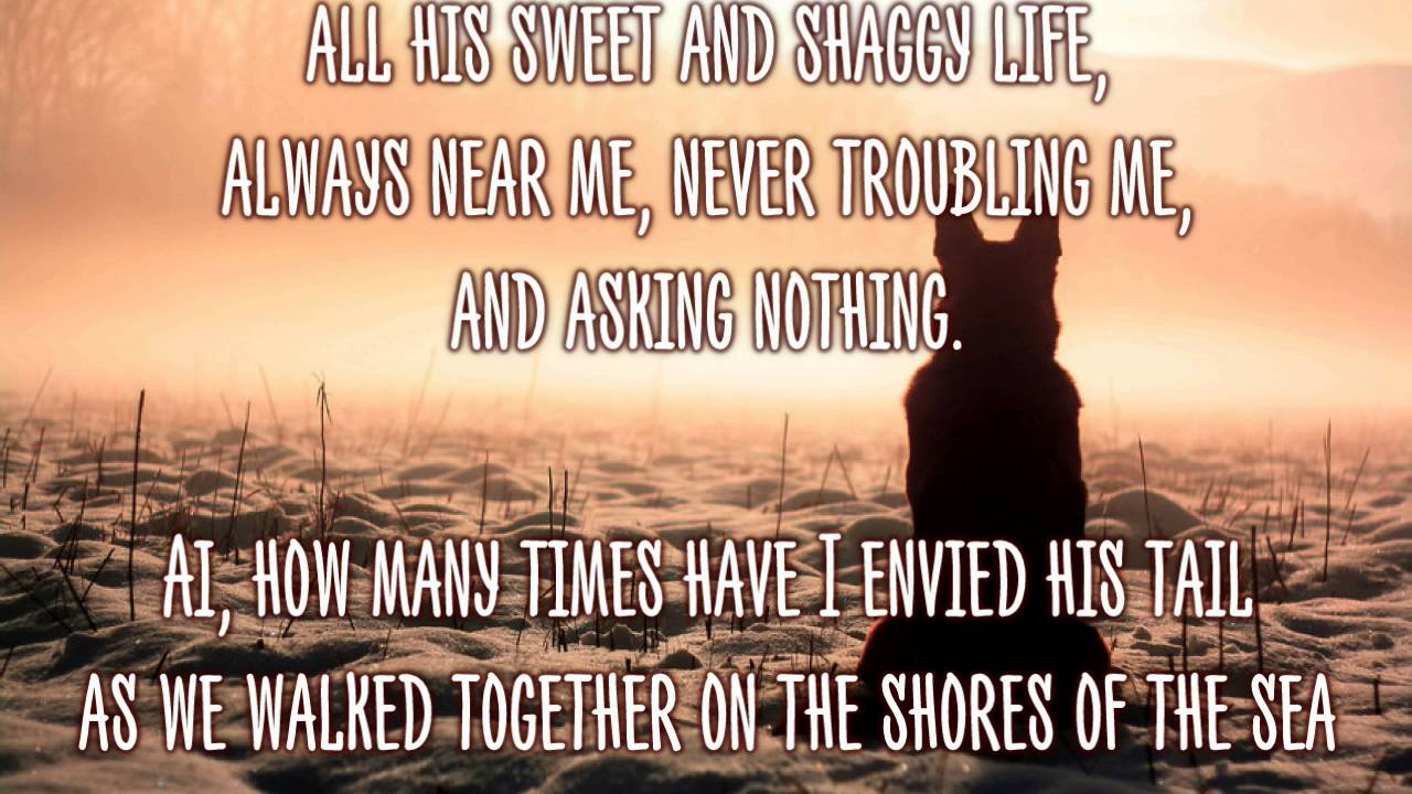 A Dog Has Died YouTube a-dog-has-died-youtube