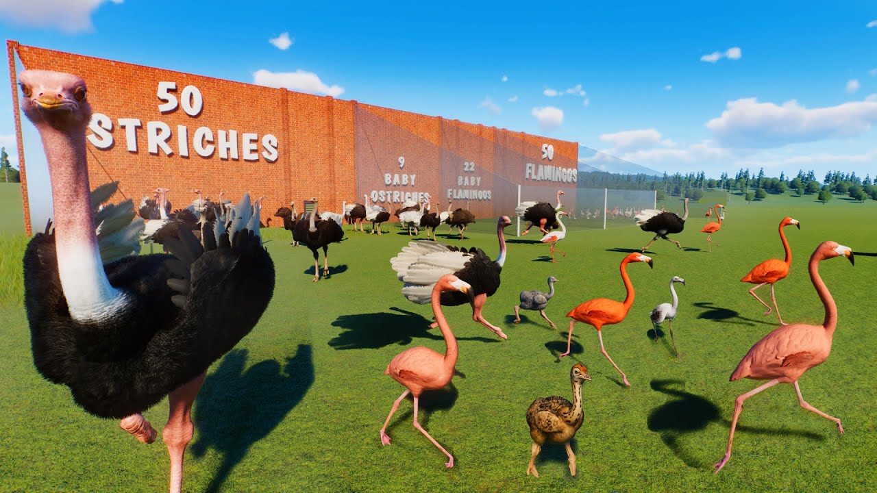 50 Ostriches vs 50 Flamingos Animals Race in Planet Zoo included Baby ...