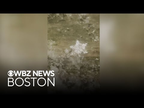Stunning dendrite snowflakes seen on video in Maine