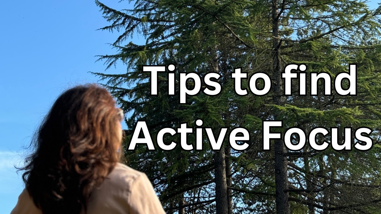 How to Find Active Focus | Endmyopia Student - YouTube