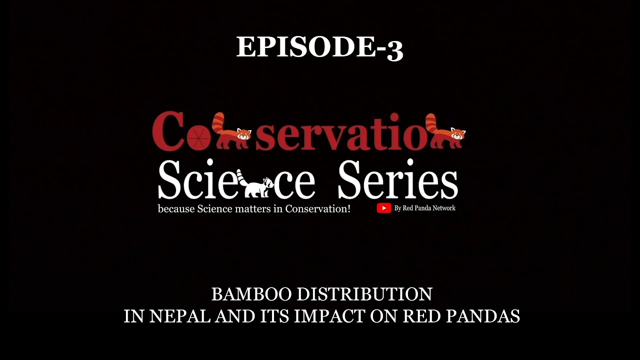 CONSERVATION SCIENCE SERIES | EP 3 | RED PANDA NETWORK | CSS - YouTube