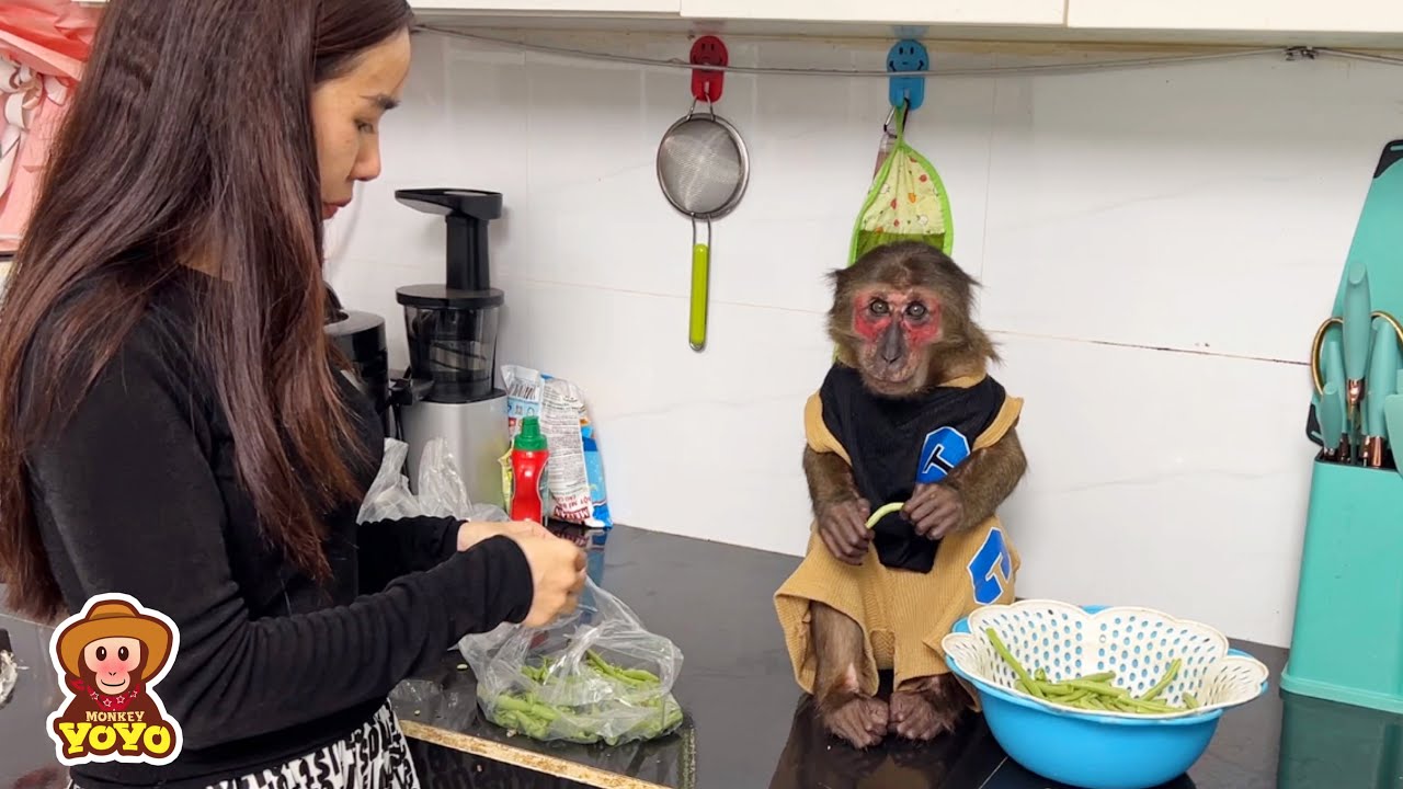 Series Cooking with Yoyo JR YoYo Jr helps mom prepare dinner - YouTube