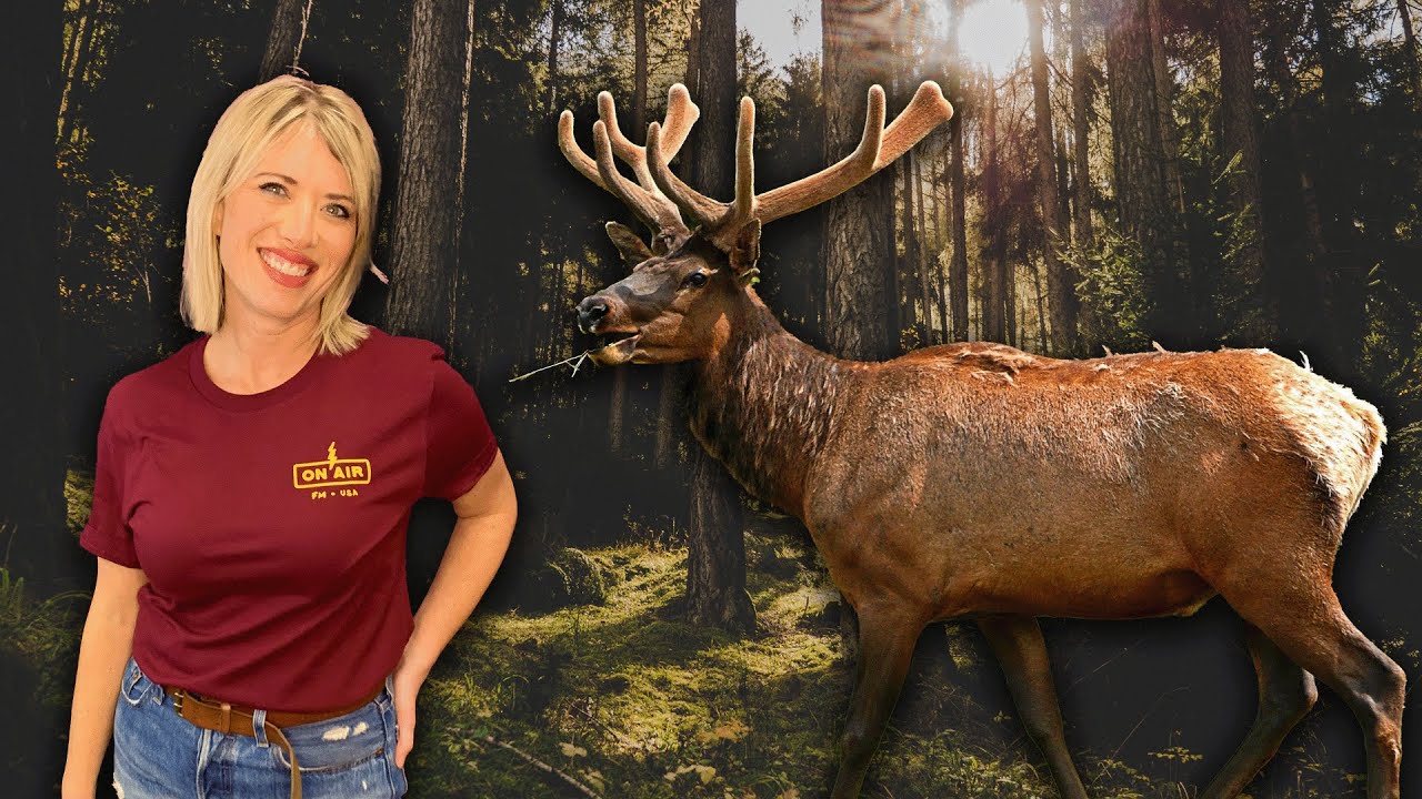 Brooke Fox: Endangered Animal Seeker (What's On Your Mind?) 11/15/23 ...