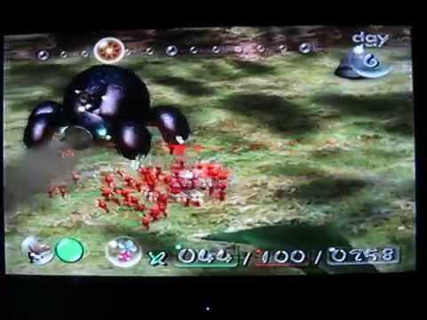 Pikmin Bosses: The Armored Cannon Beetle - YouTube