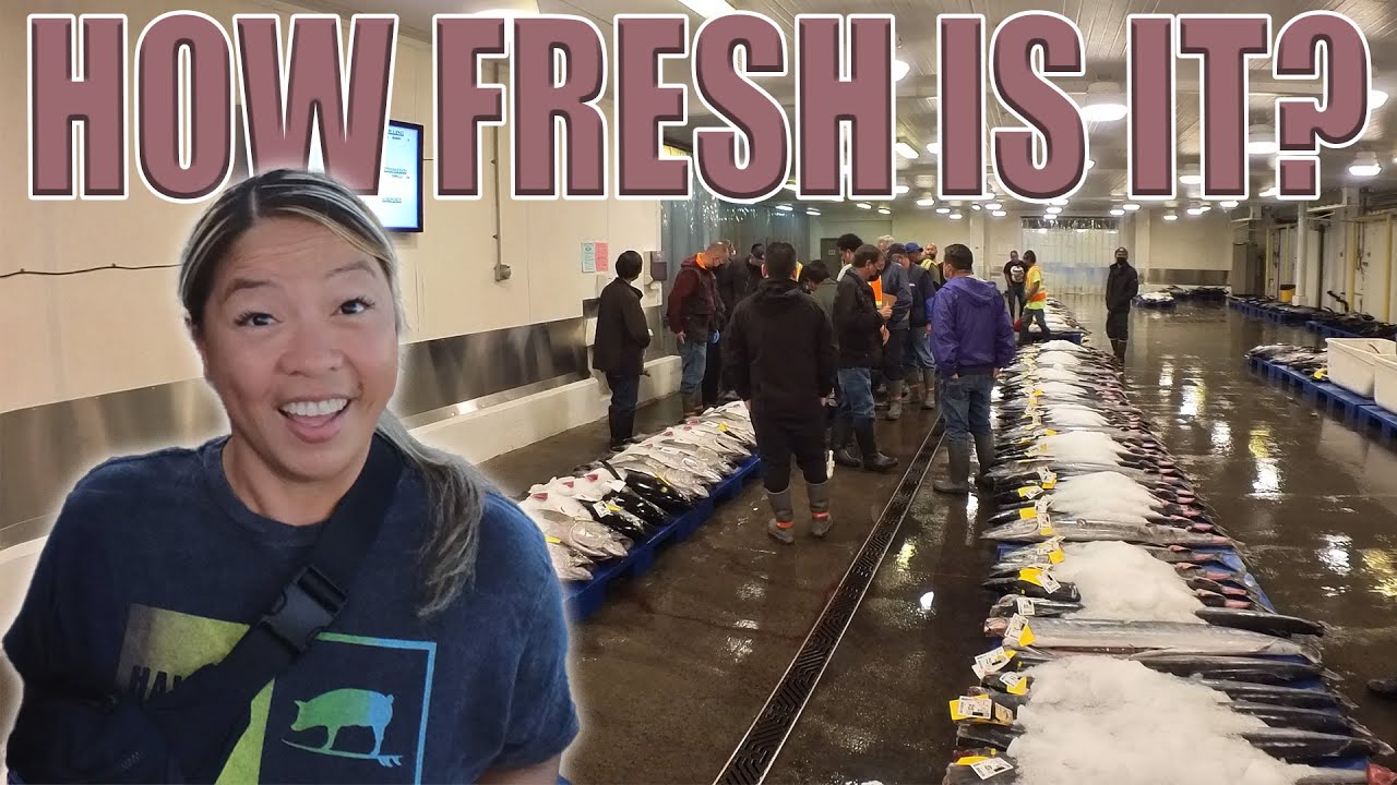 Honolulu Fish Auction - The ONLY fresh TUNA AUCTION in the United ...