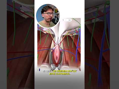 Clitorisul este organul sexual al plăcerii. Tu știai asta❓👨🏼‍⚕️🌷