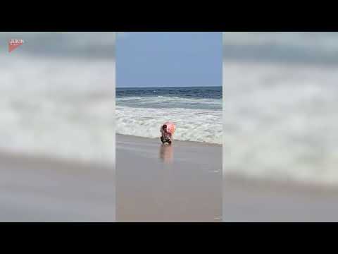 Woman Gets Swept Away by Wave While Trying to Pull Dog From Water - 1501069