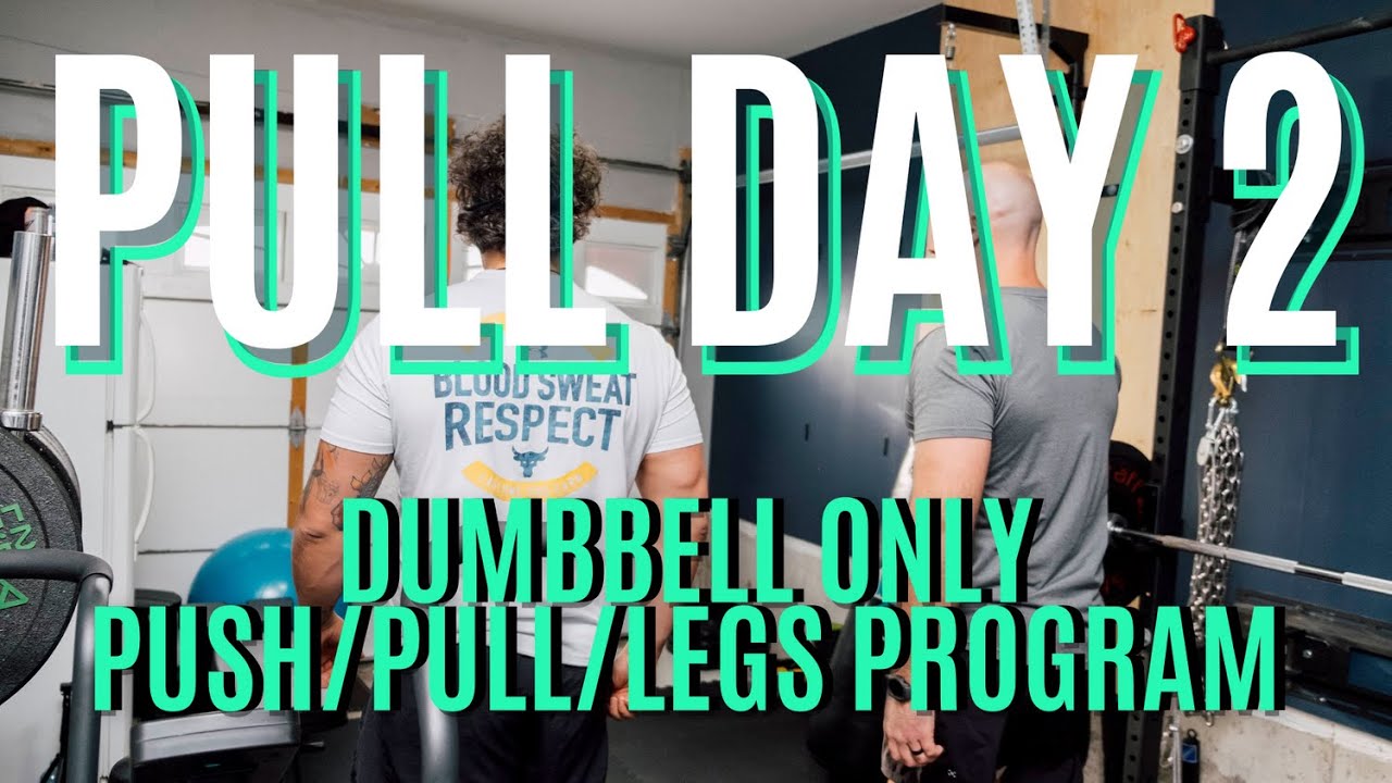 Pull Day 2 Dumbbell Only Workout (Push/Pull/Legs 6 days a week Program ...