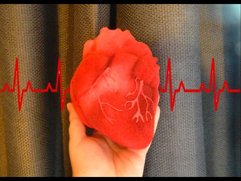 Realistic human heart squishy tutorial! - YouTube