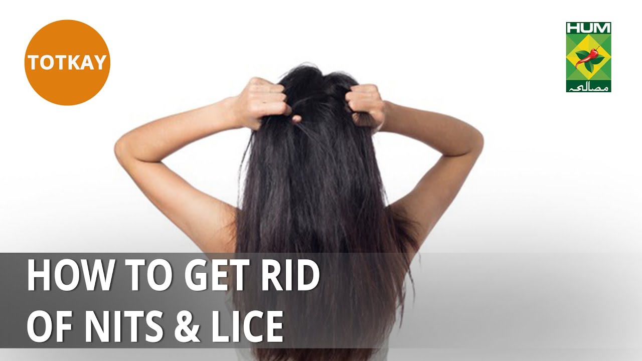 How To Get Rid Of Nits & lice | Totkay | Masala TV - YouTube