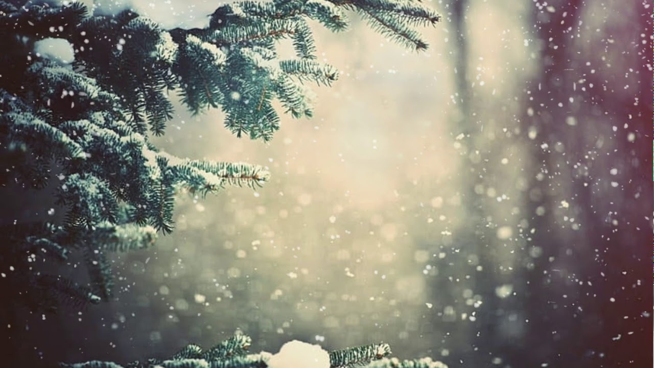 Snow forest HD animated wallpaper 1080p - YouTube