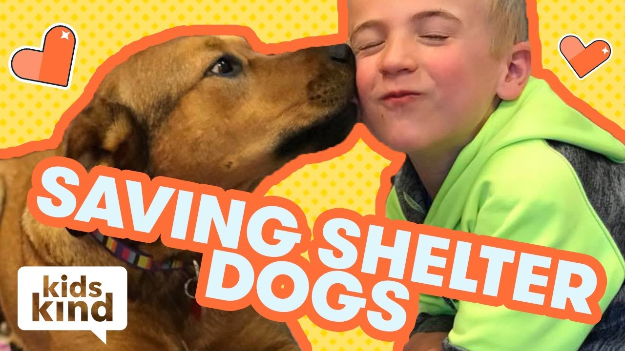 The kid who saved thousands of dogs | Kidskind - YouTube