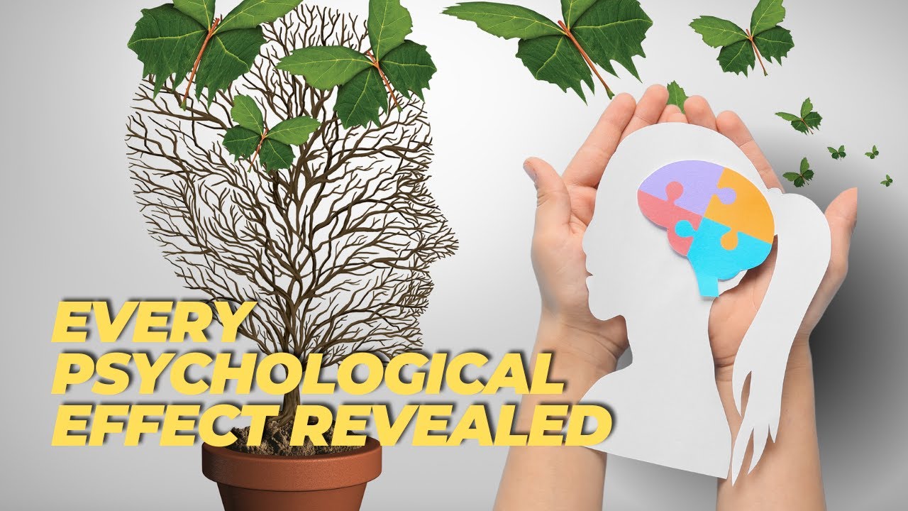 Every Psychological Effect Explained in 13 Minutes: A Quick Guide in ...