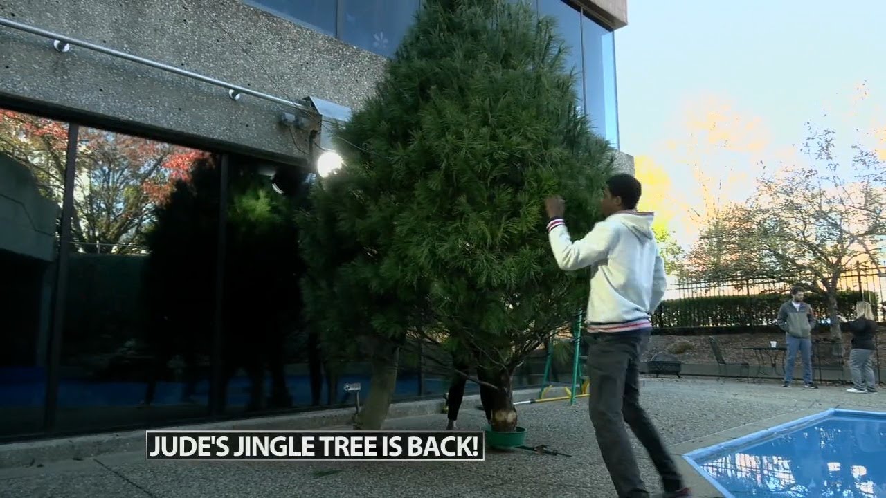 Jude's Jingle Tree arrives at the WDRB water garden, waiting for viewer ...