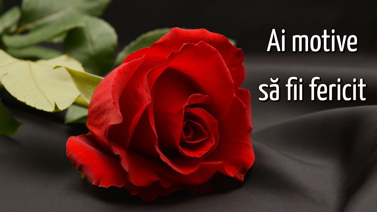 Ai motive să fii FERICIT!!! - You have reason to be HAPPY! | Cristina ...