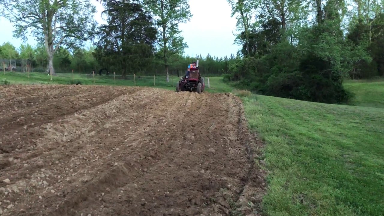 Farmall 140 with King Disk 2 - YouTube