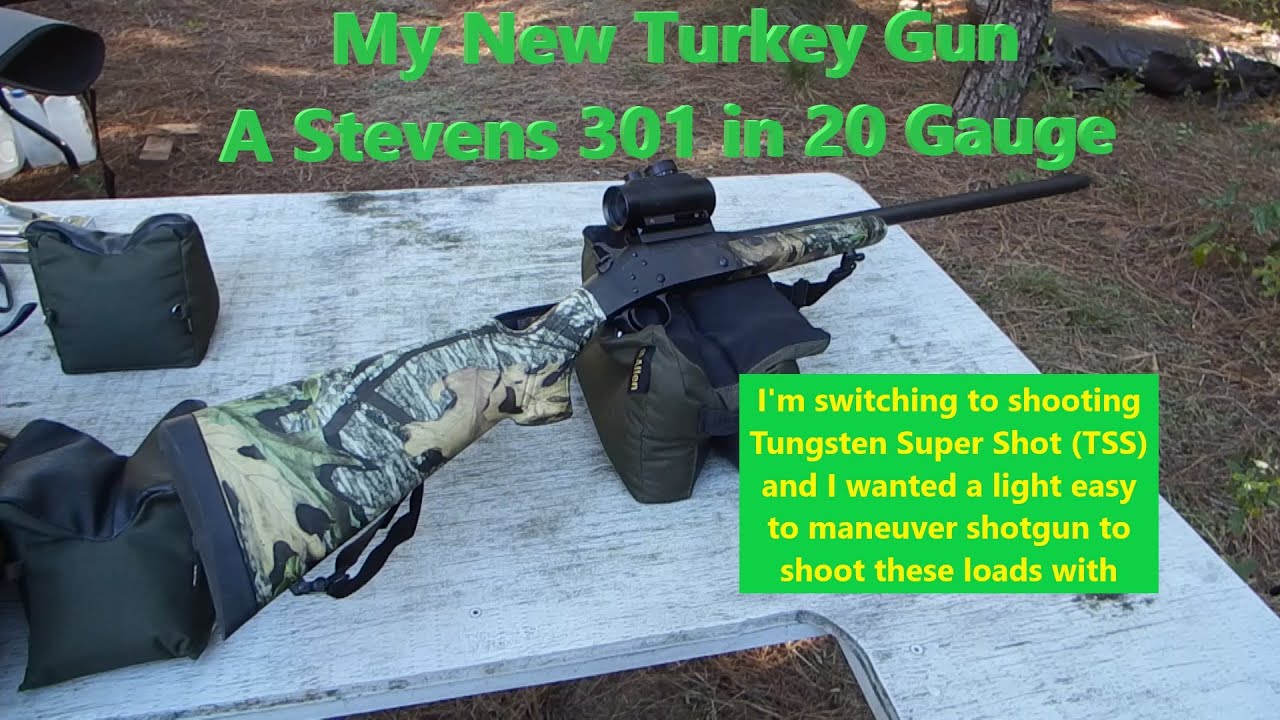 Stevens 301 in 20 gauge - My New Turkey Gun - Can it shoot straight ...