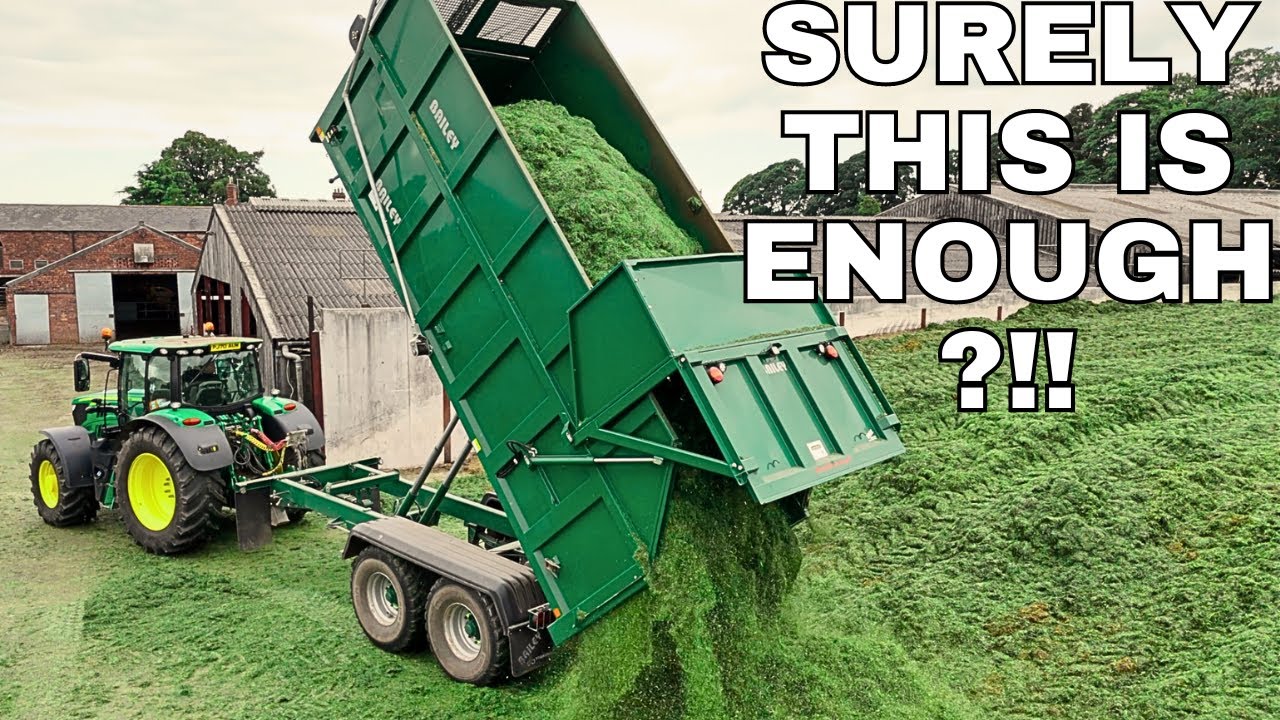 3rd Cut Grass Silaging 2024! From Field To Feed! - YouTube