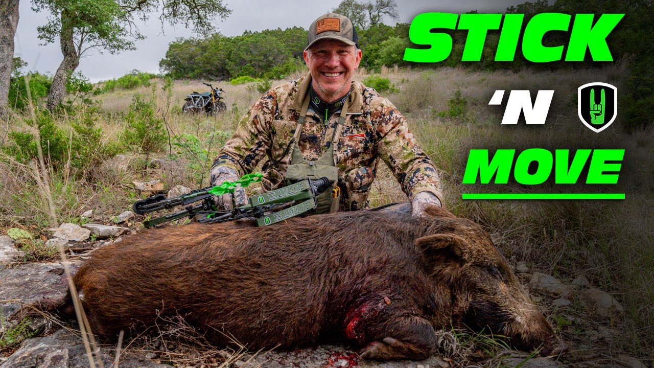 STICK N' MOVE - BOWHUNTING FERAL HOGS - YouTube