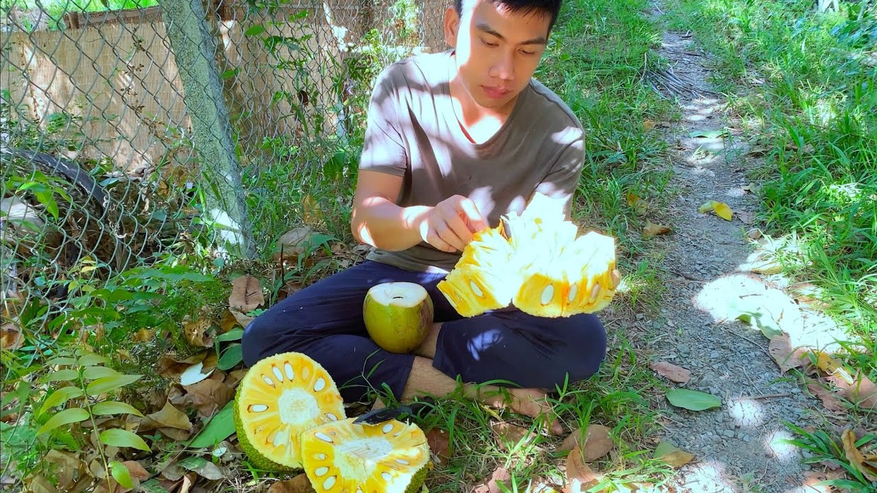 Eating Jackfruit - Taking care of livestock and expanding vegetable ...