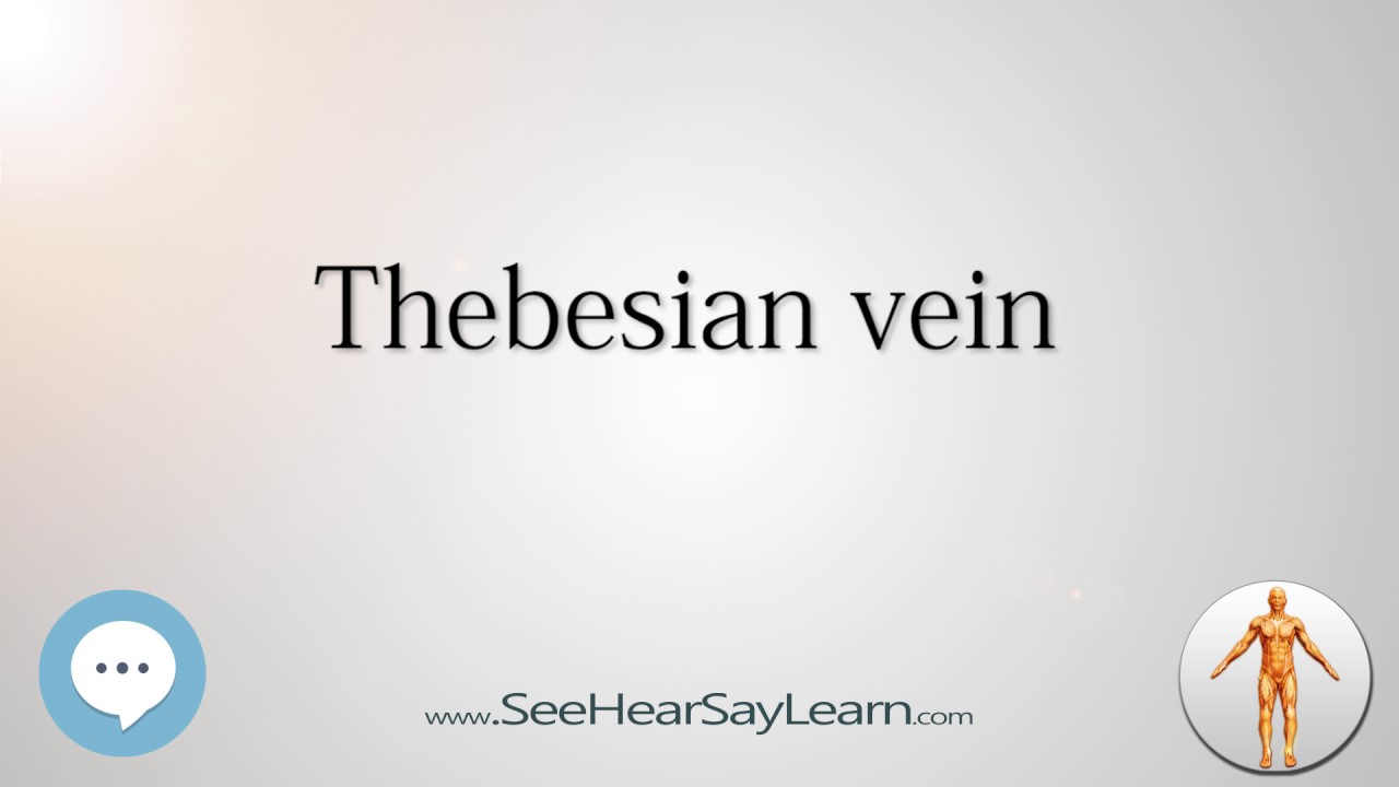 Thebesian vein Anatomy Named After People 🔊 - YouTube