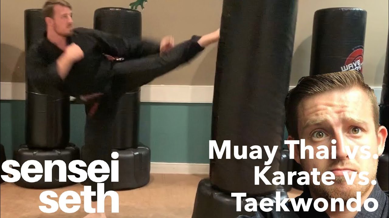 Using Roundhouse Kicks from other Martial Arts Styles (Taekwondo, Muay ...