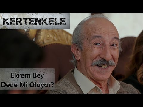 Ekrem Bey dede mi oluyor? - Kertenkele