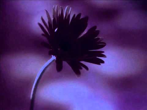 Serdar Ortaç - Bilsem Ki