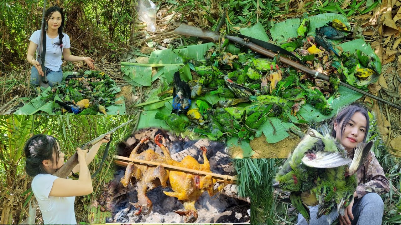 Hunting birds feasting on tree fruits...having lots of fun 11/12/22 ...