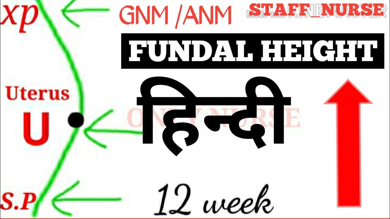 Fundal Height Measurement By Week Nursing Maternity YouTube fundal-height-measurement-by-week-nursing-maternity-youtube