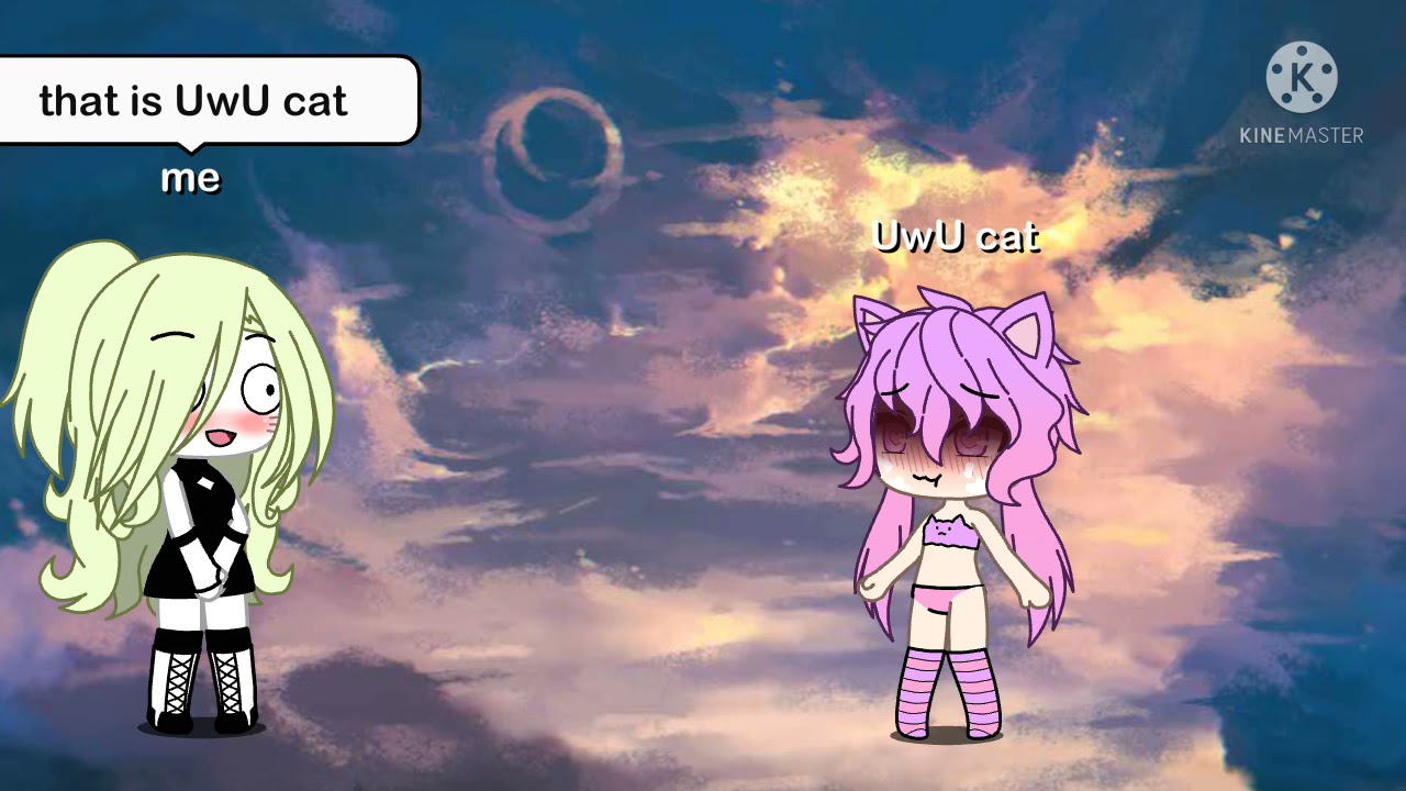 ||meets UwU cat||😨😡 - YouTube