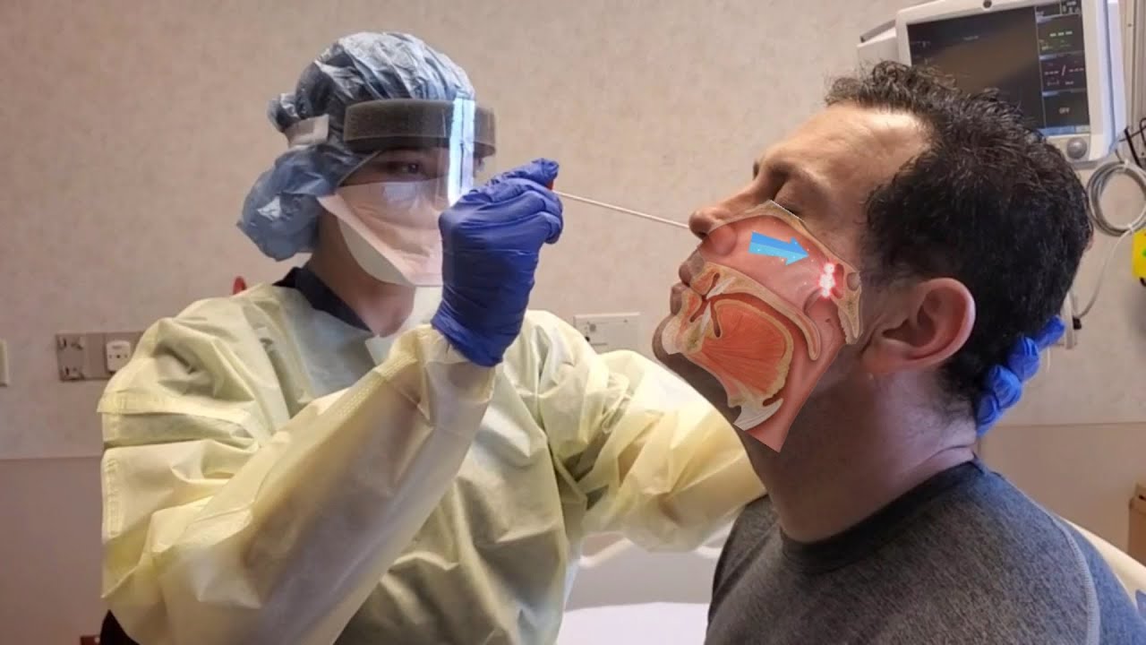 Proper Covid-19 Swabbing Technique - YouTube