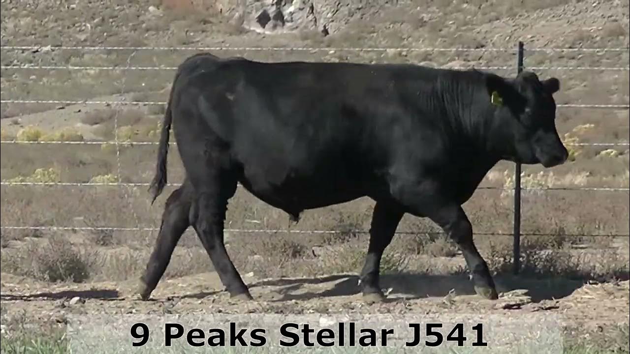 9 Peaks Stellar J541 - YouTube