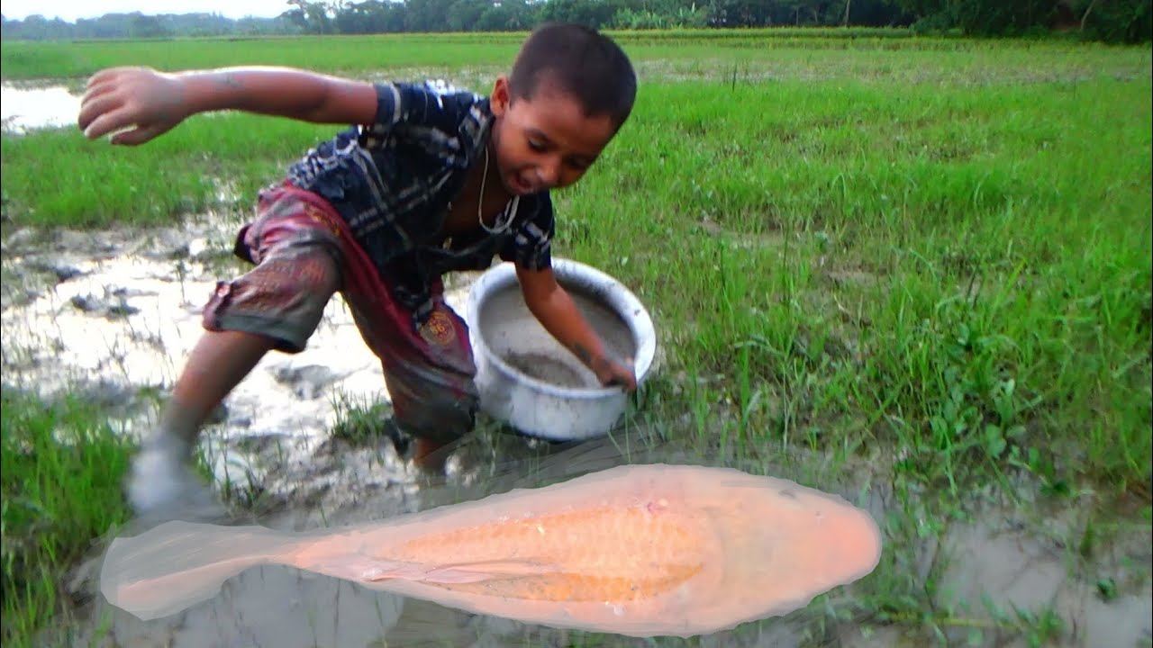 amazing hand fishing 😲 smart boy catching big fish by hand ...