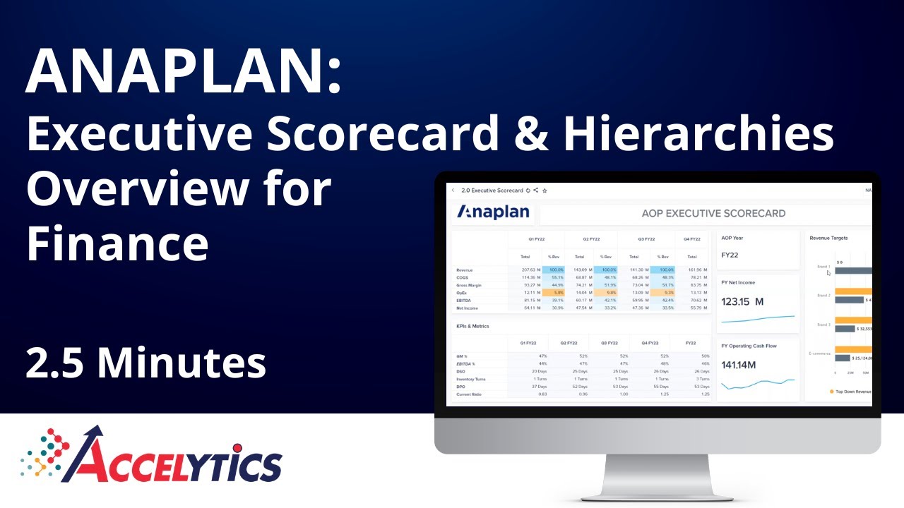 Executive Scorecard Dashboard in Anaplan - Key Metrics and KPI Overview ...
