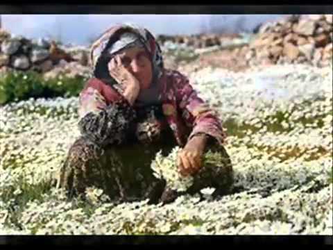 Ramiz Rovsen BENOVSE NENE