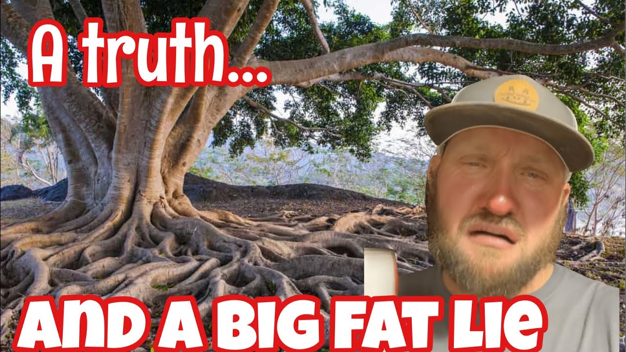 A Truth and A BIG FAT Lie! - YouTube