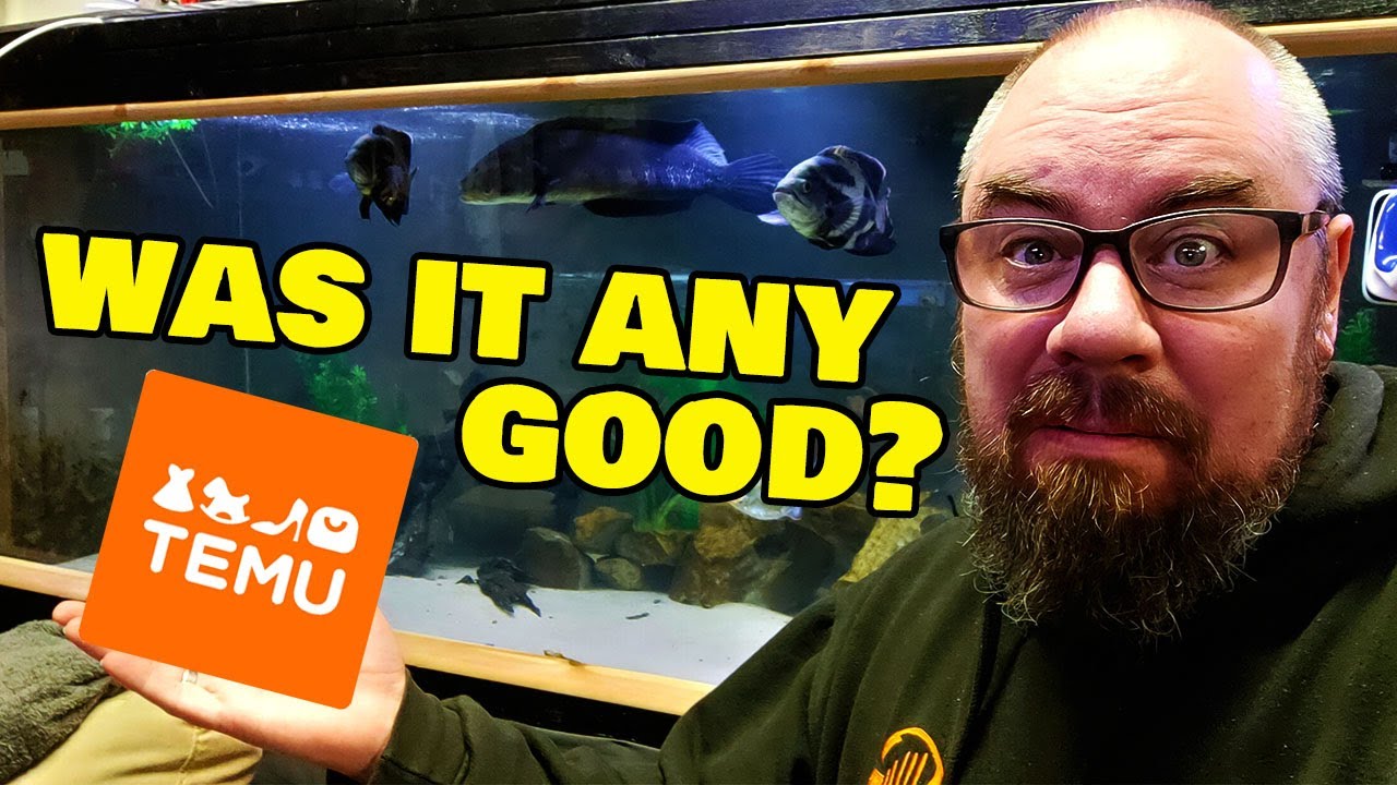 Was ANY of my Temu aquarium stuff any good? - Fish room Files #4 - YouTube