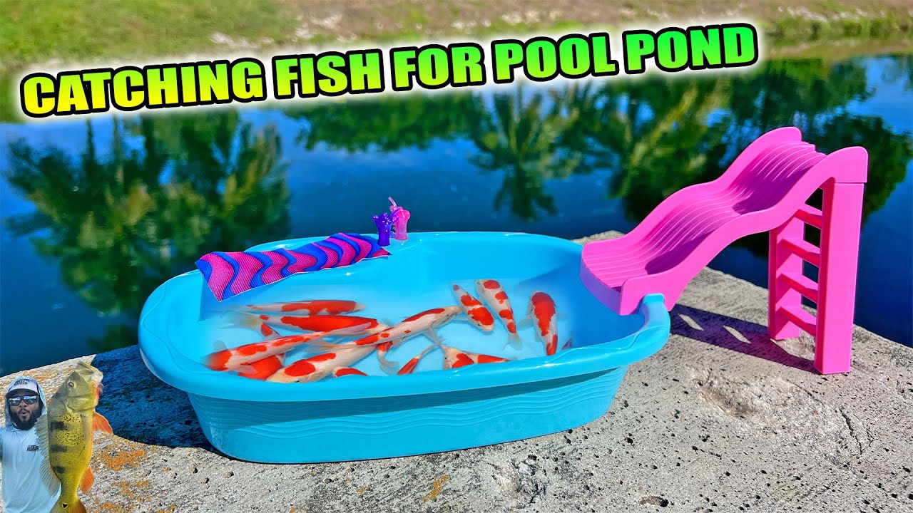 Catching Pet Fish for Pool Pond | Monster Mike Fishing & @BryanTheCEO ...
