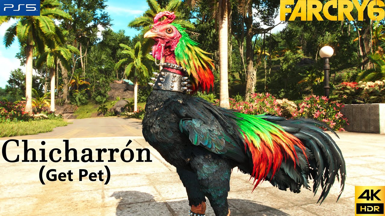 Far Cry 6 - How to Unlock Chicharron - YouTube