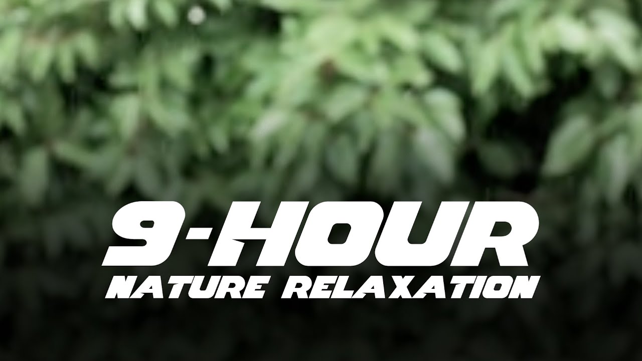 9-Hour Nature Relaxation | Calm Rainfall | Mindfulness | Clarity ...