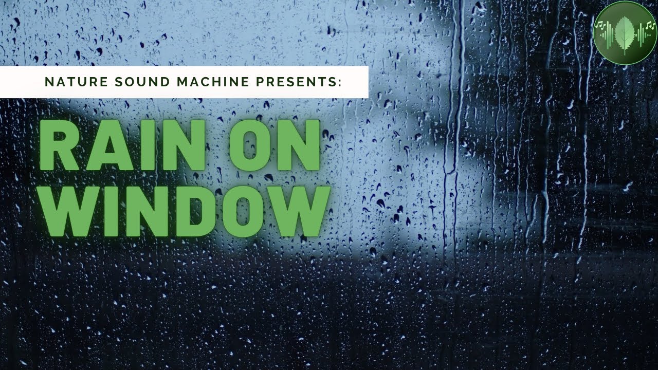 Sounds of RAIN for Sleeping, Studying, and Relaxing | White Noise Sound ...