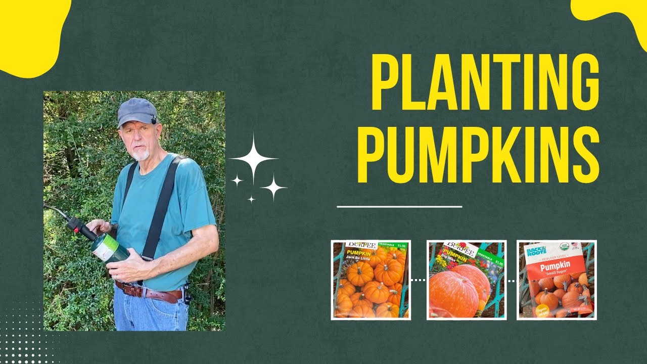 🎃Pumpkin Planting Tips for a BIG Fall Harvest 🎃 | DIY Weed Control ...