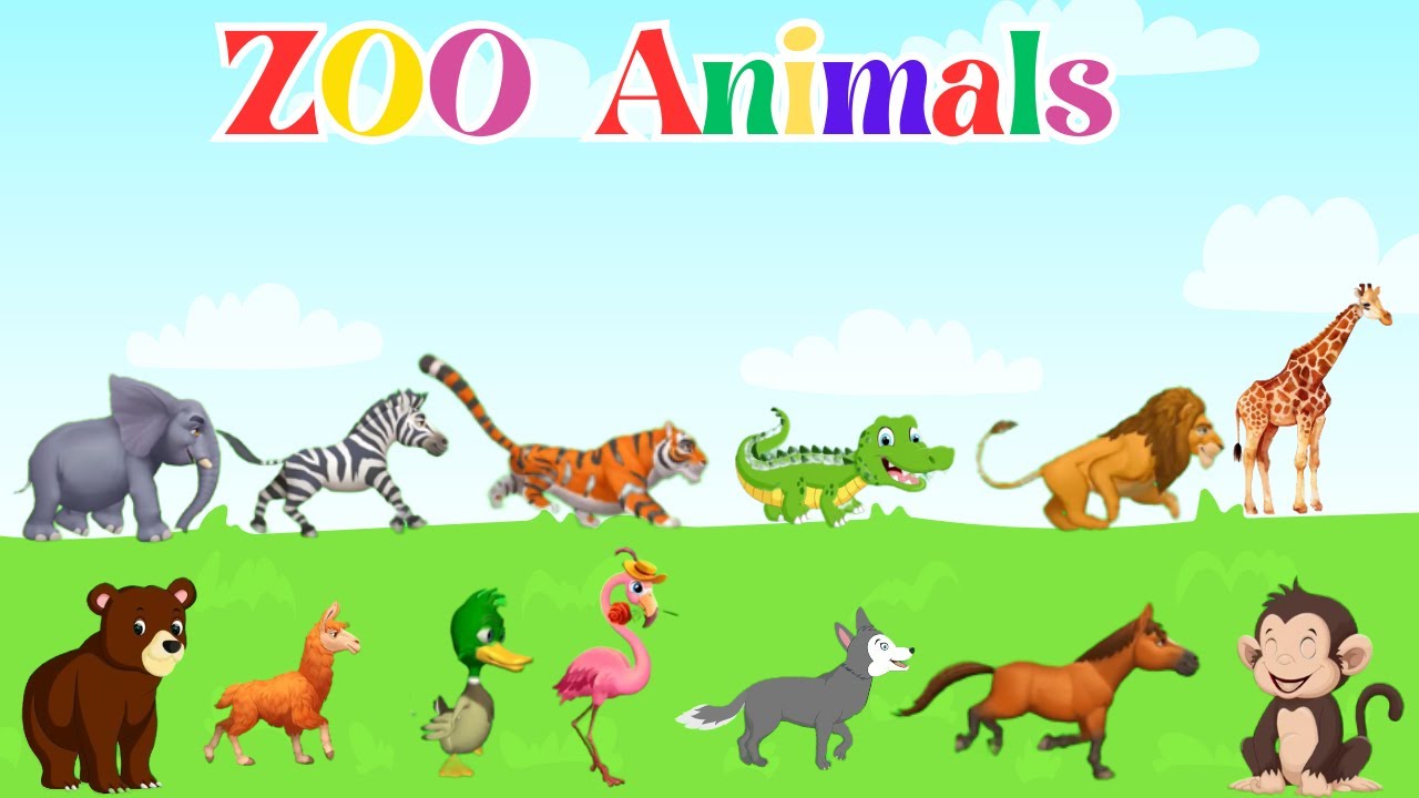 ZOO Animals for Kids | Lets Learn Interesting Facts About Zoo Animals ...