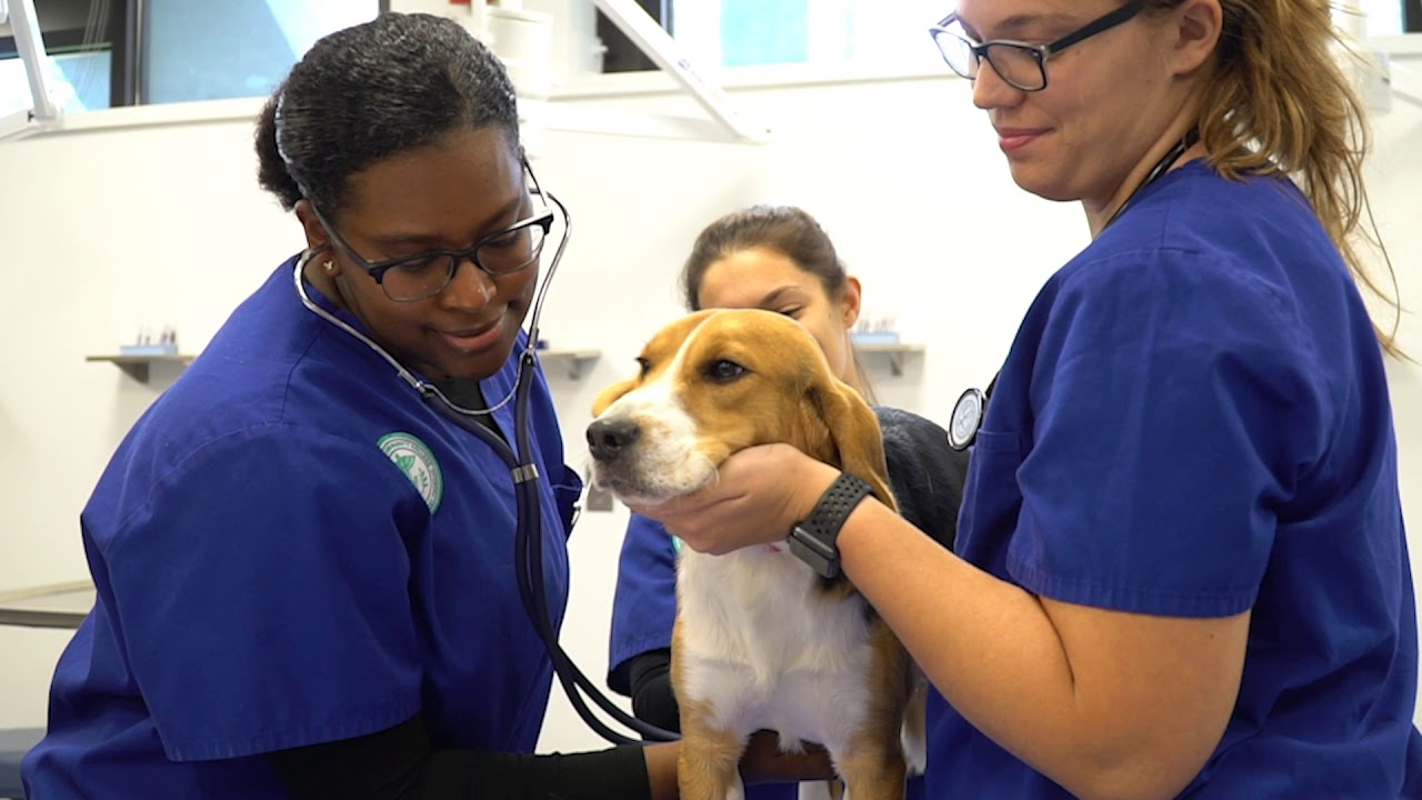 Massasoit Community College Canton Campus (short) - YouTube