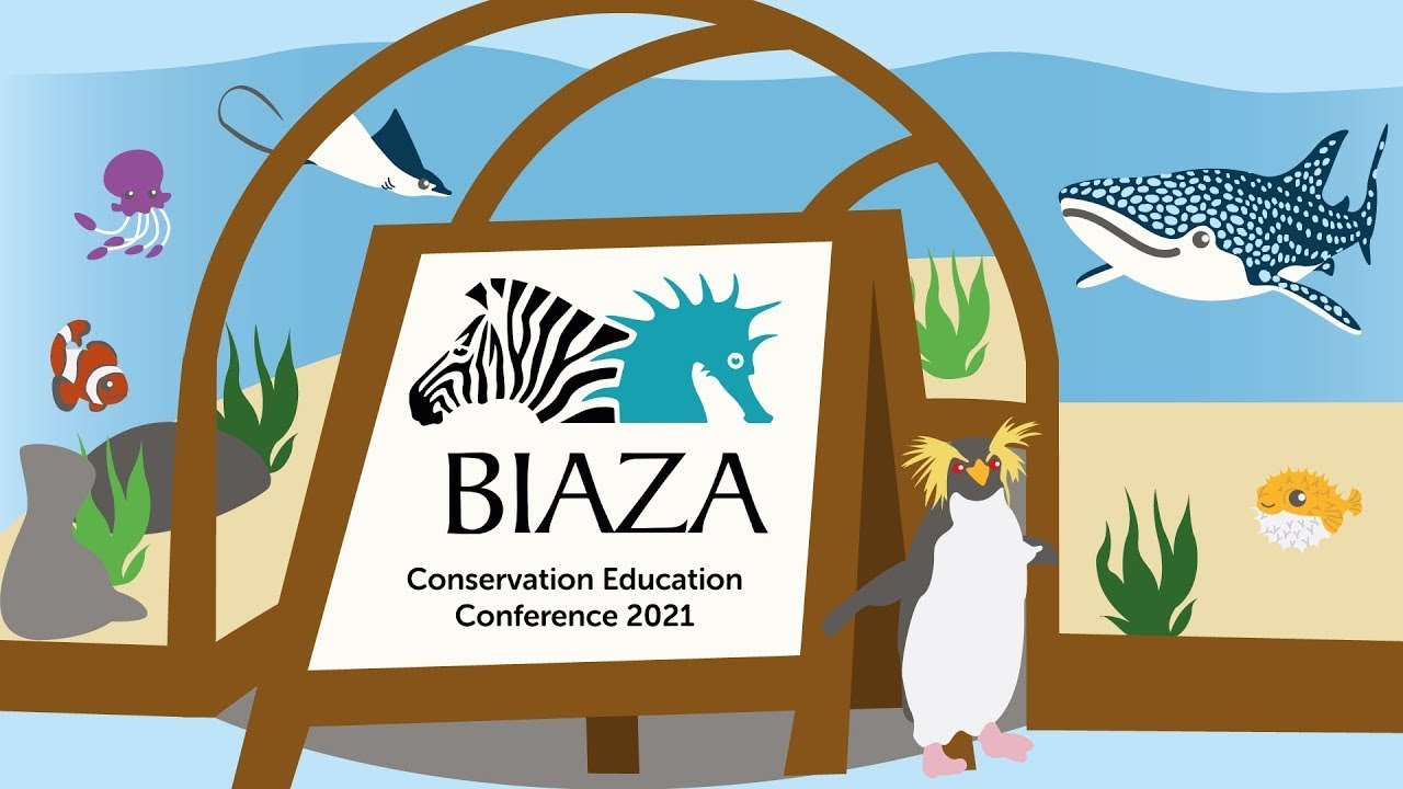 Update from BIAZA - BIAZA Education Conference 2021 - YouTube