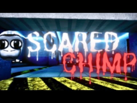 playing scared chimp - YouTube