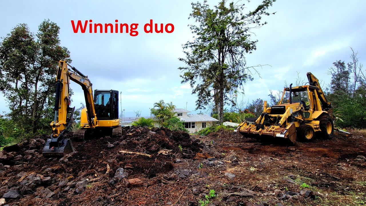 Coffee branch clean up - YouTube