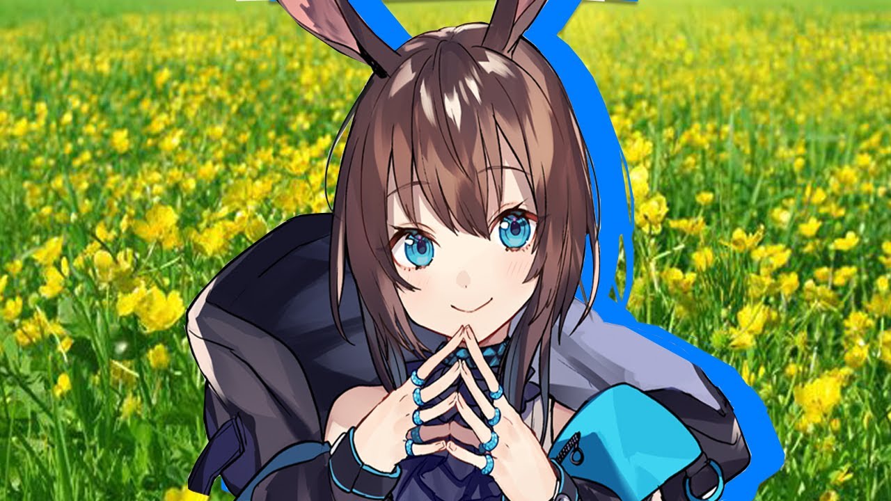 ULTIMATE AMIYA DONKEY EXPERIENCE | Arknights - YouTube